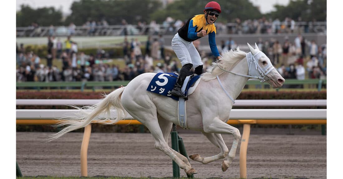 Thoroughbreds of a Different Colour