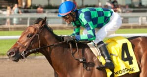 HorsePlayer Interactive Now Available in All of Northern Ontario