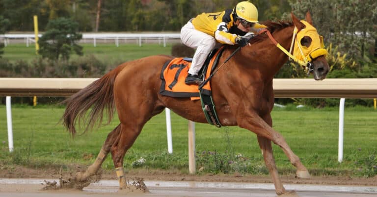 HorsePlayer Interactive Now Available in All of Northern Ontario