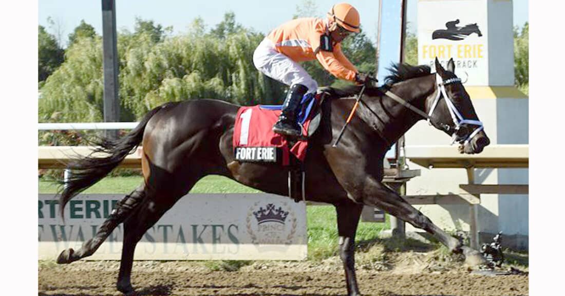 Richest Canadian-bred Racehorse, Awesome Again, Dead at 26