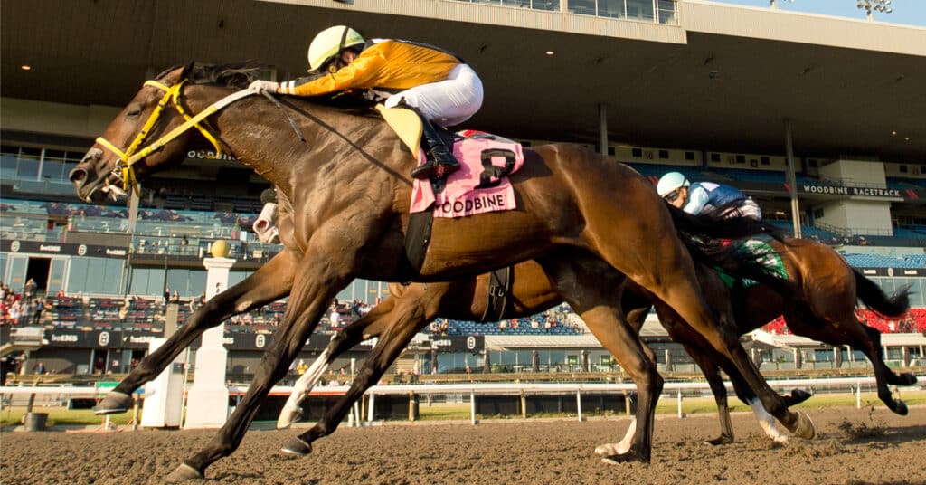 Weird, Wonderful and Quirky Horses of Canadian Racing