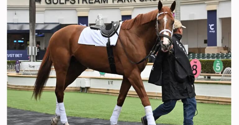 Fipke and Warner to receive special honours at 2019 Sovereign Awards