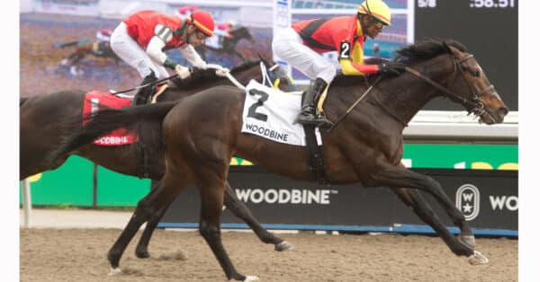 Michael Lay is Ready to Tackle Racing's Challenges