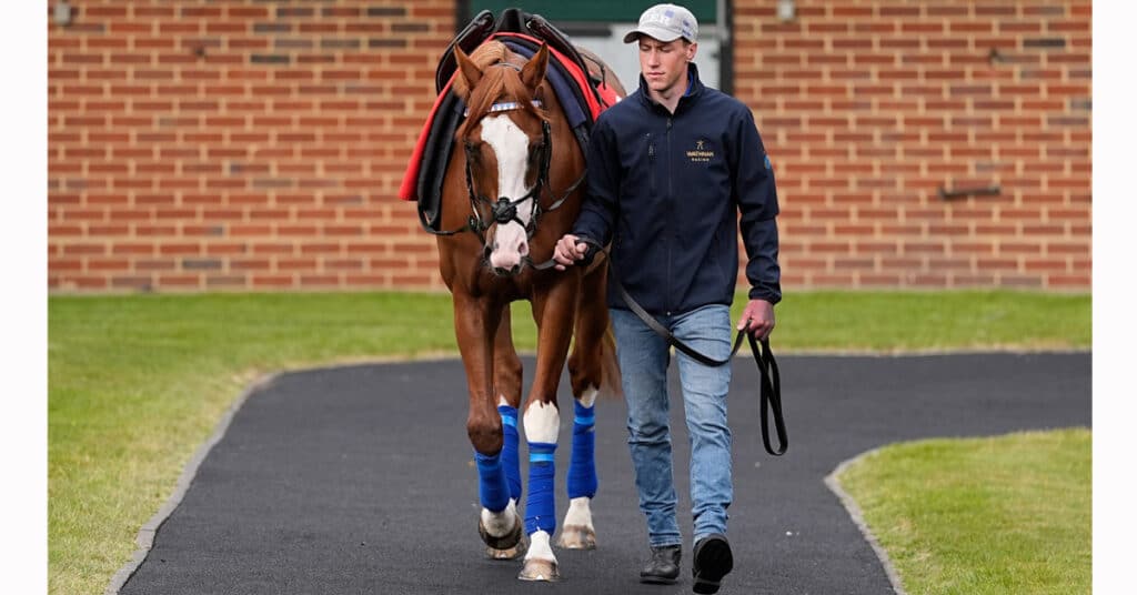 Mark Casse: The Story Behind the 3,000 Career Wins