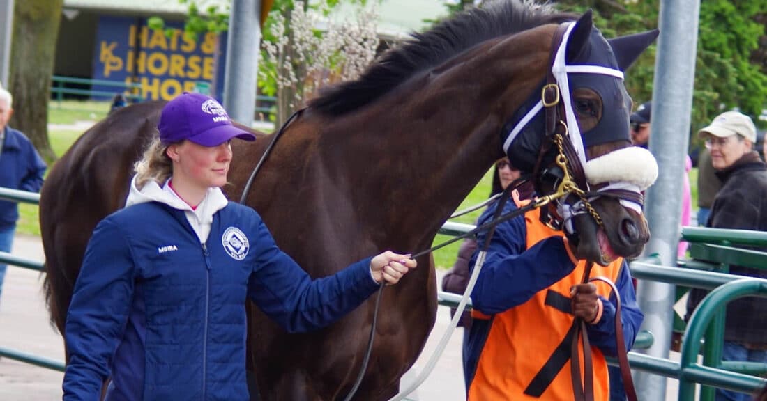 HorsePlayer Interactive Now Available in Quebec – Canadian Thoroughbred