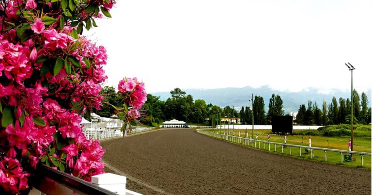 HorsePlayer Interactive Now Available in Quebec – Canadian Thoroughbred