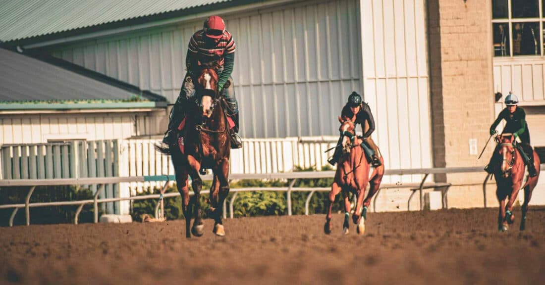 HorsePlayer Interactive Now Available in All of Northern Ontario