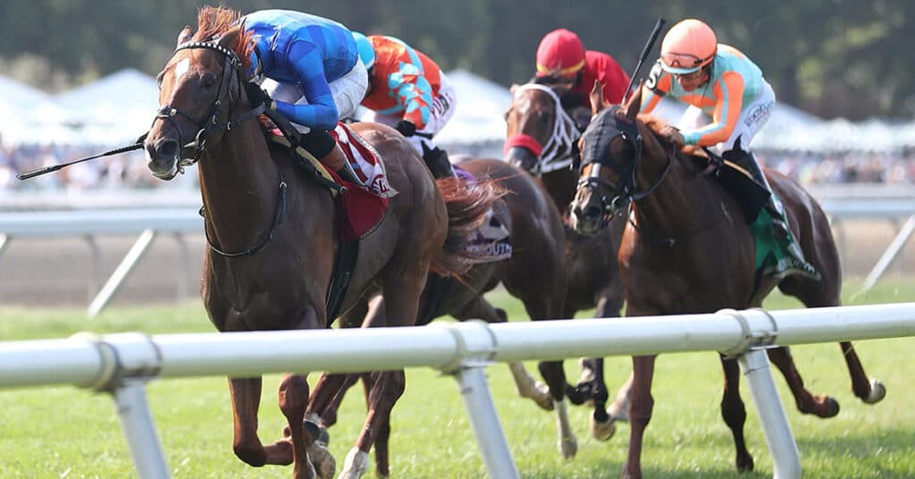 Tapiture, Top Sire in US, Moves to Alberta