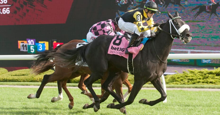 Canadian Horse Racing Hall of Fame '25 Thoroughbred Inductions