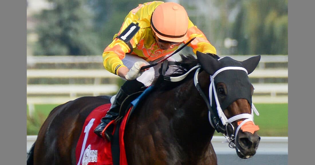 Canadian Horse Racing Hall of Fame '25 Thoroughbred Inductions