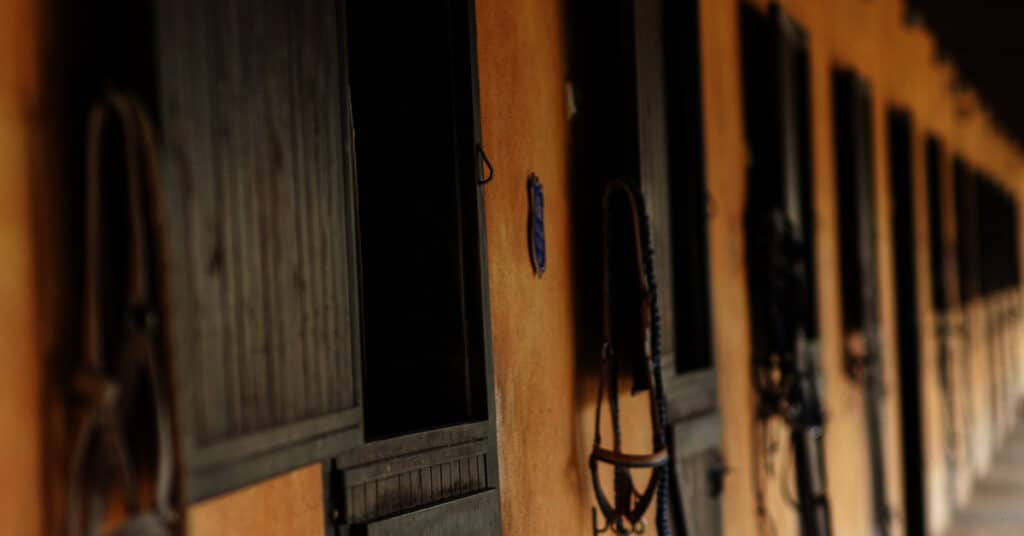 Midnight Snacks: When Do Stalled Horses Eat During the Night?