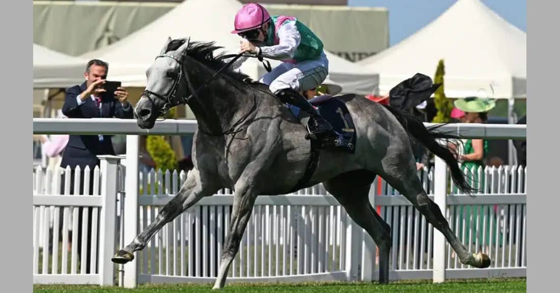 Horse Racing Alberta Programs, Purses, Schedules for 2025