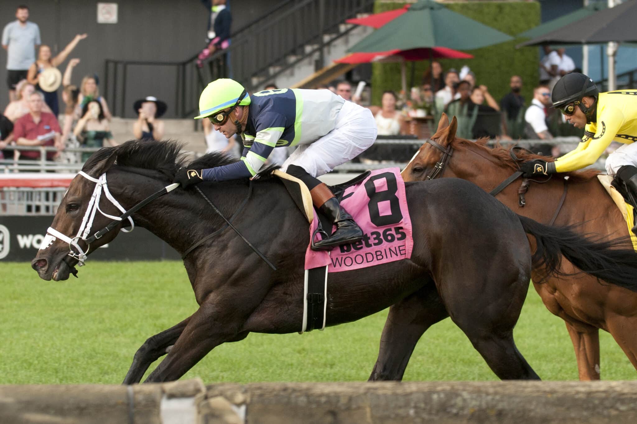 Eclipse First - The Rest Nowhere!