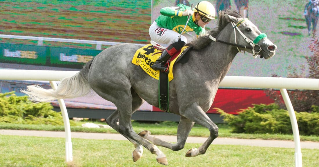 Eclipse First - The Rest Nowhere!