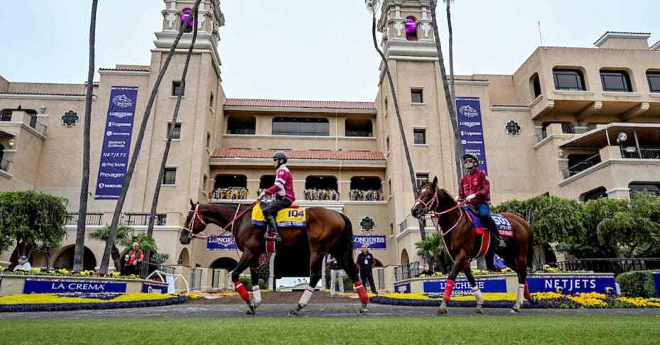 Horseplayer Interactive Phases Out Phone Betting