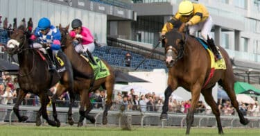 Horseplayer Interactive Phases Out Phone Betting