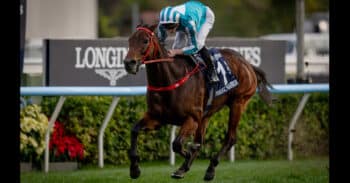 Horseplayer Interactive Phases Out Phone Betting