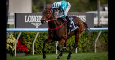 Horseplayer Interactive Phases Out Phone Betting