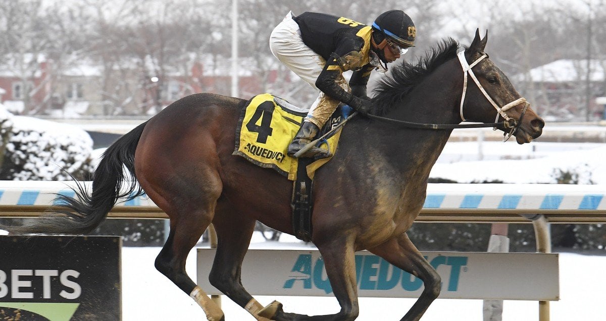Ontario Sired, Bred Full Screen Wins First U.S. Stakes Races