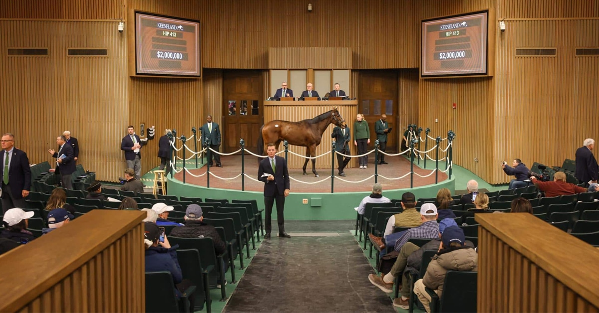 Woodbine: 2025 in Review