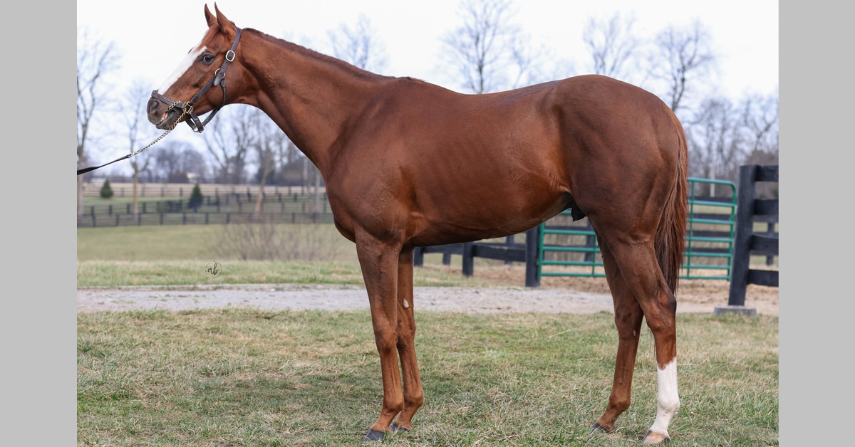 Drexler Gets 900th, Chircop 300th; Ferris Takes Over Camhaven