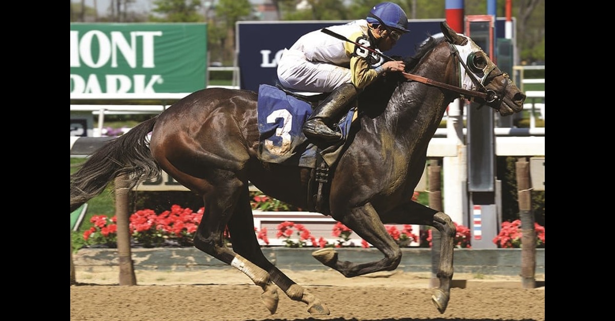 Eclipse Awards: Pietro Moran Wins Apprentice, Sovereignty is HOY