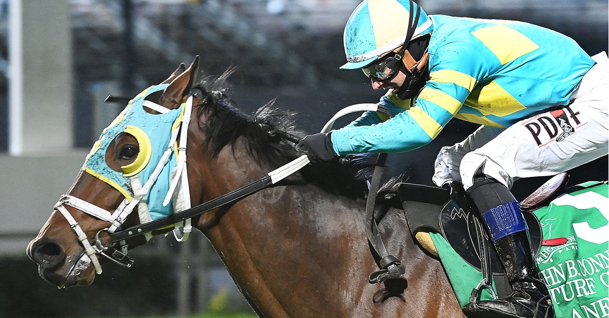 Big weekend for Rafael, My Boy Prince Just Misses, More News